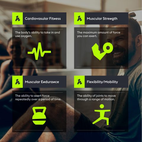 What are the different types of fitness?