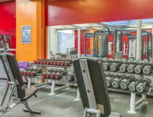 The Best Gyms in Nottingham | Checkout some of Nottingham's best gyms
