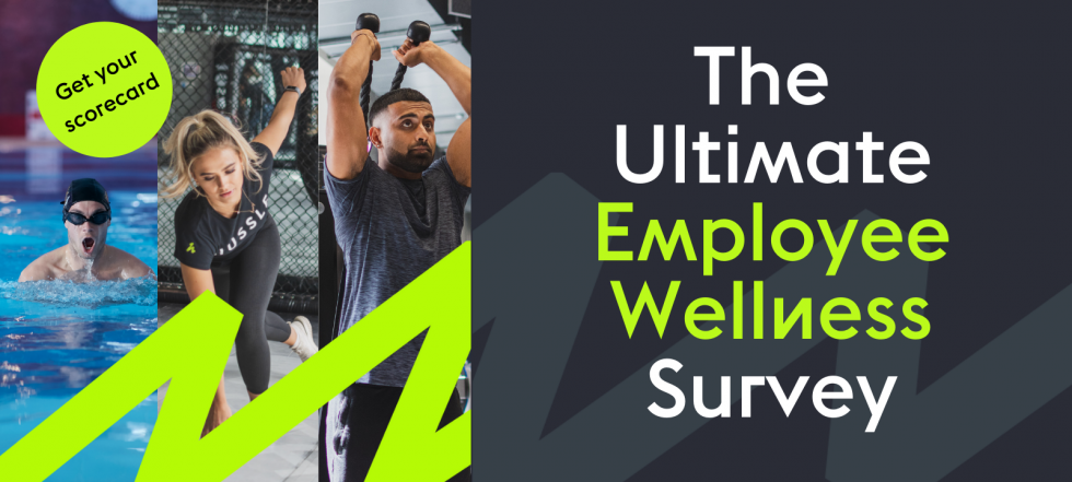 Launching 'The Ultimate Employee Wellness Survey: 2024' | The Hussle Blog